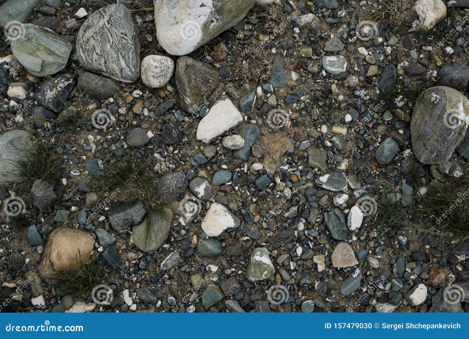 The Texture of a Shallow River Stone Stock Photo - Image of ground ...