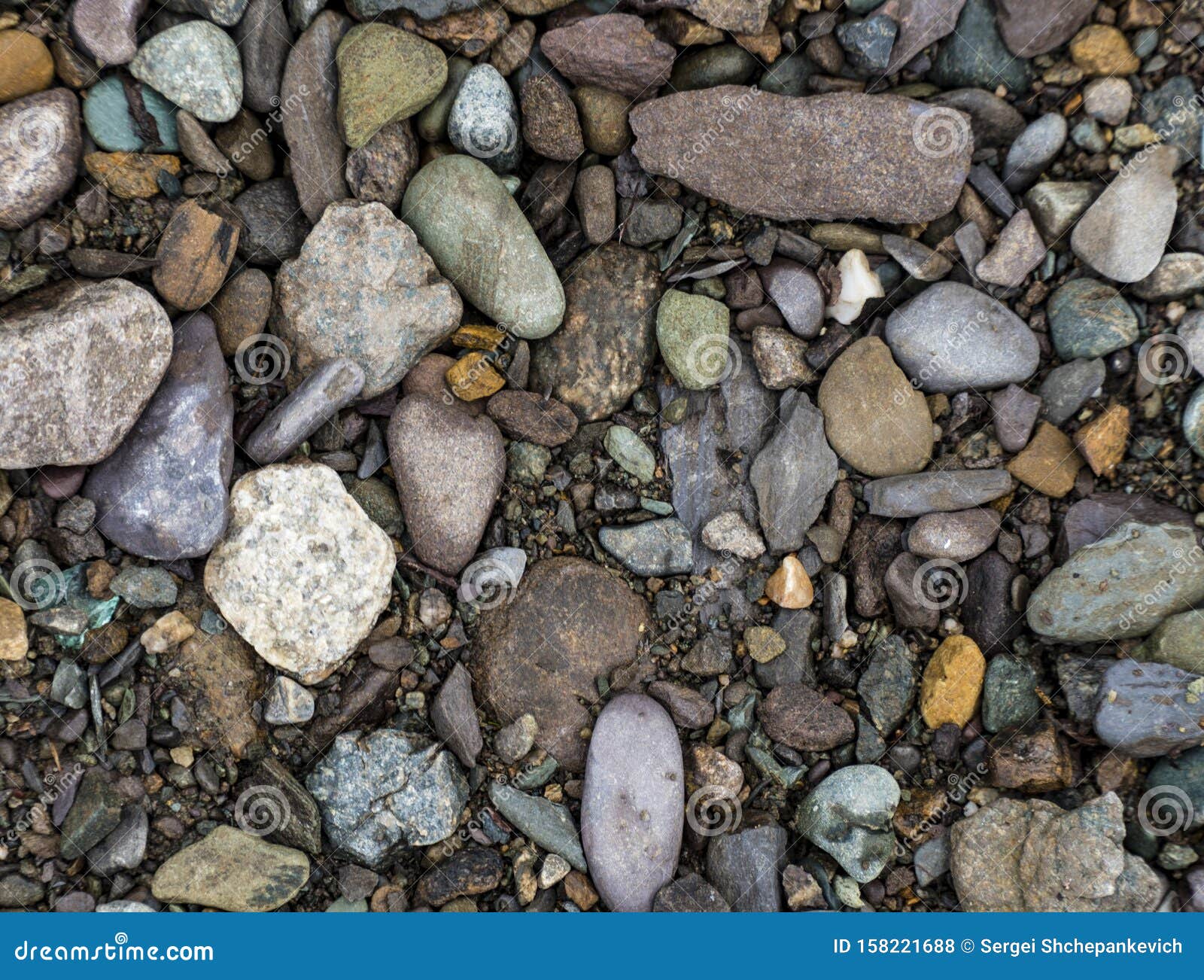 The Texture of a Shallow River Stone Stock Photo - Image of black ...