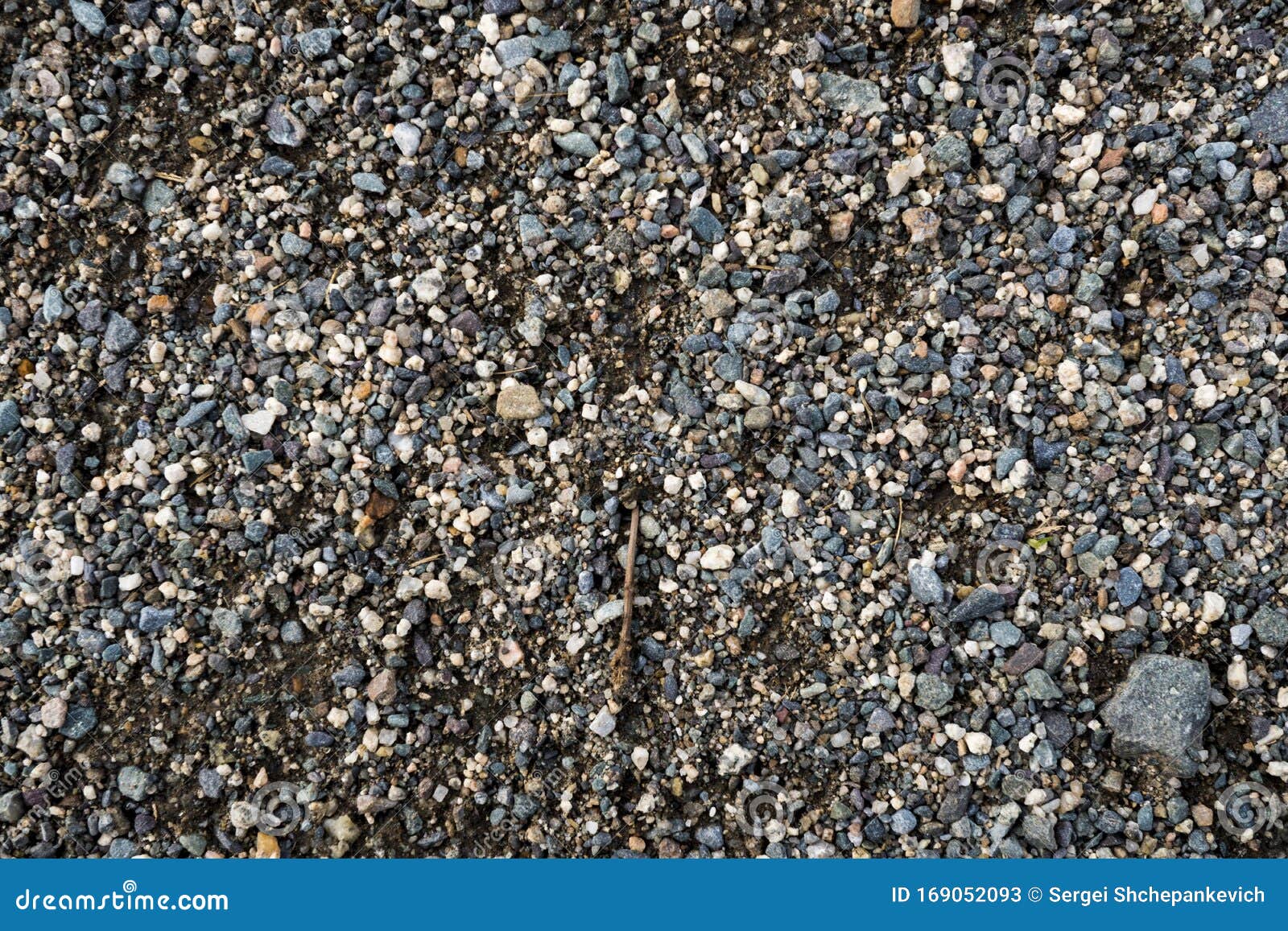 The Texture of a Shallow River Stone Stock Image - Image of rock ...
