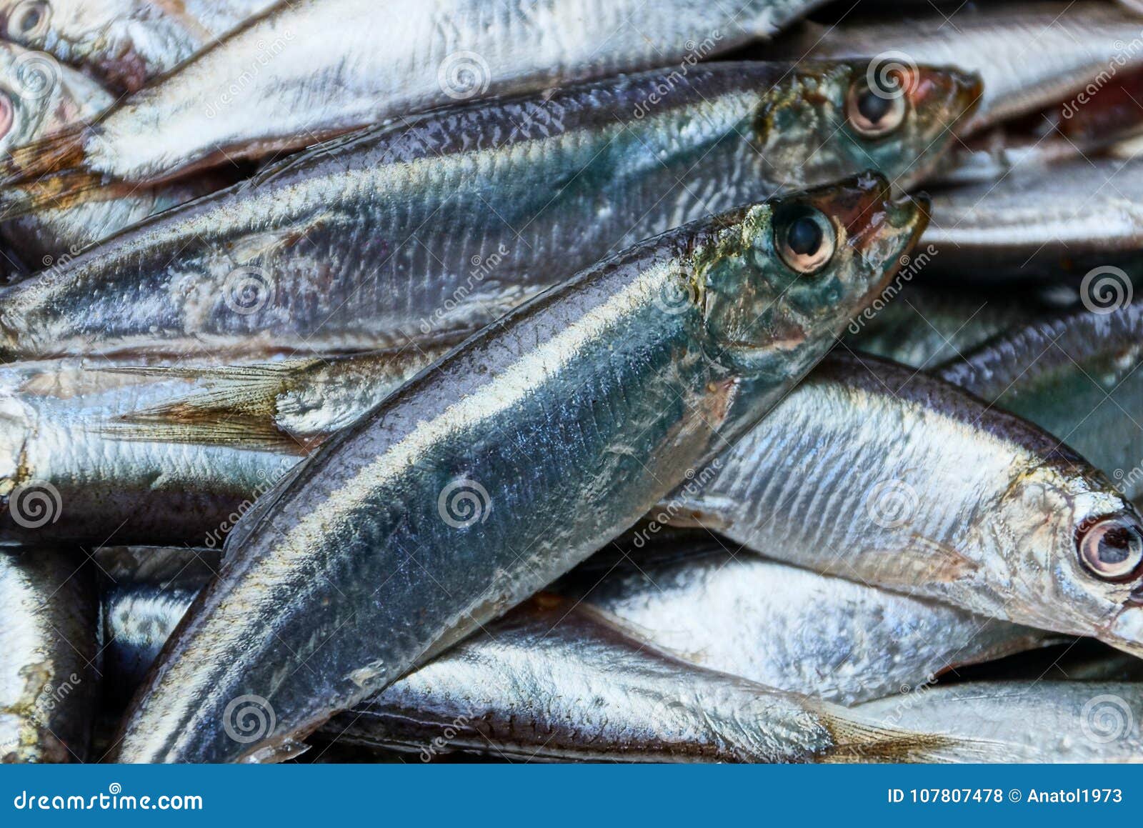 A Texture of Shallow Sea Salt Fish Stock Photo - Image of restaurant ...