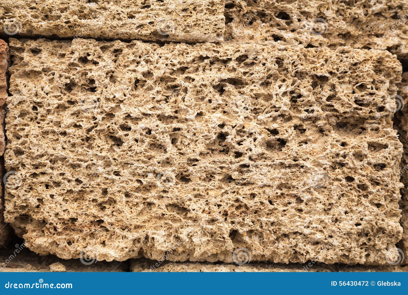 Texture Shell Limestone Closeup Stock Photo - Image of beige, debris ...