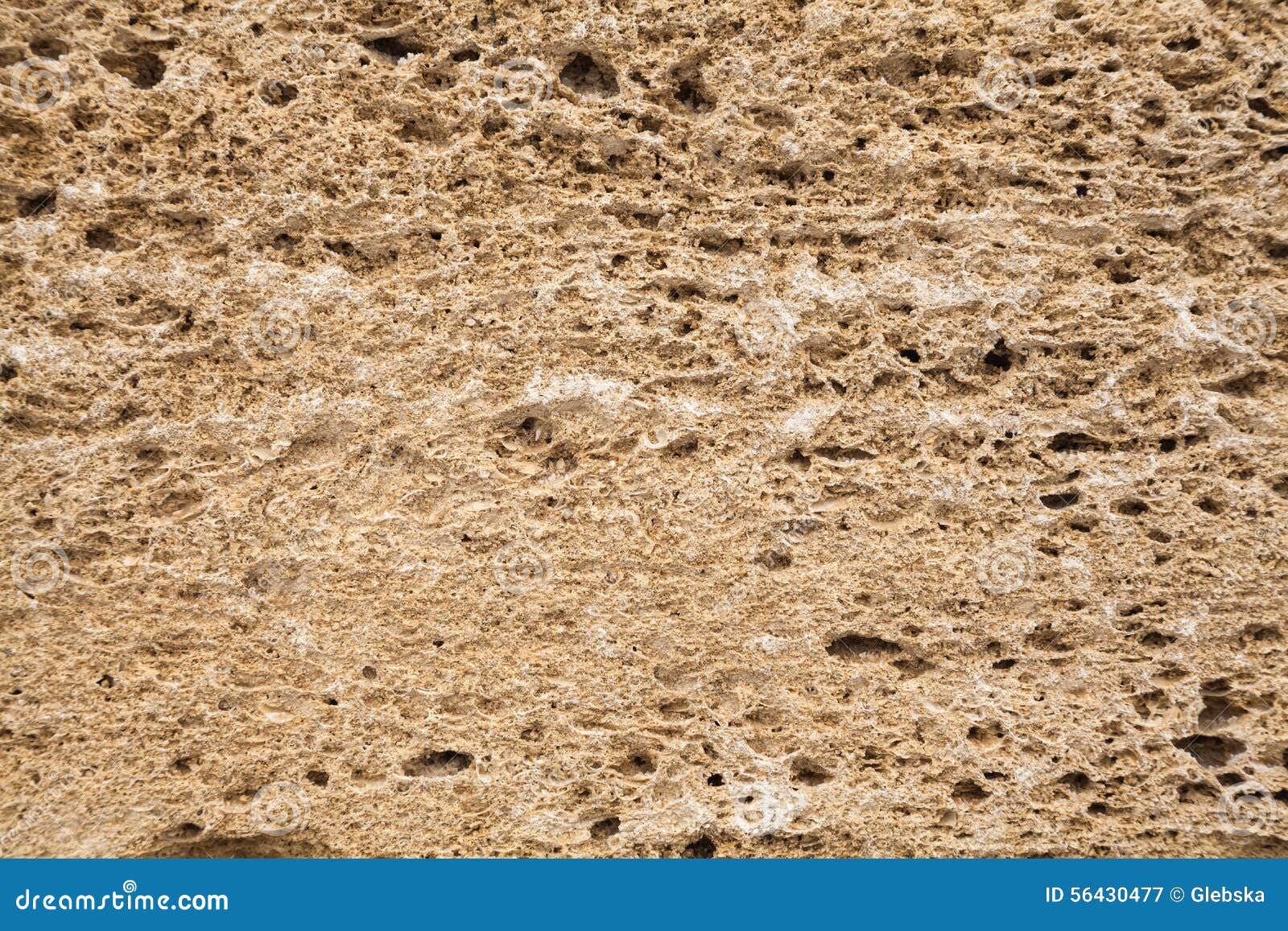 Texture Shell Limestone Closeup Stock Image - Image of debris, rough ...