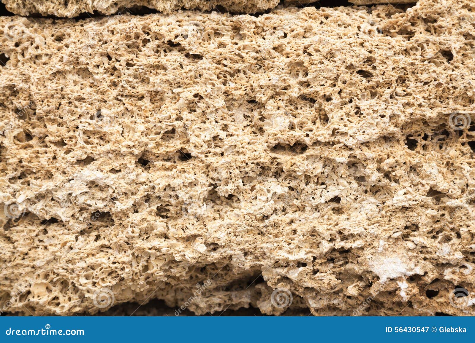 Texture Shell Limestone Closeup Stock Image - Image of debris, build ...