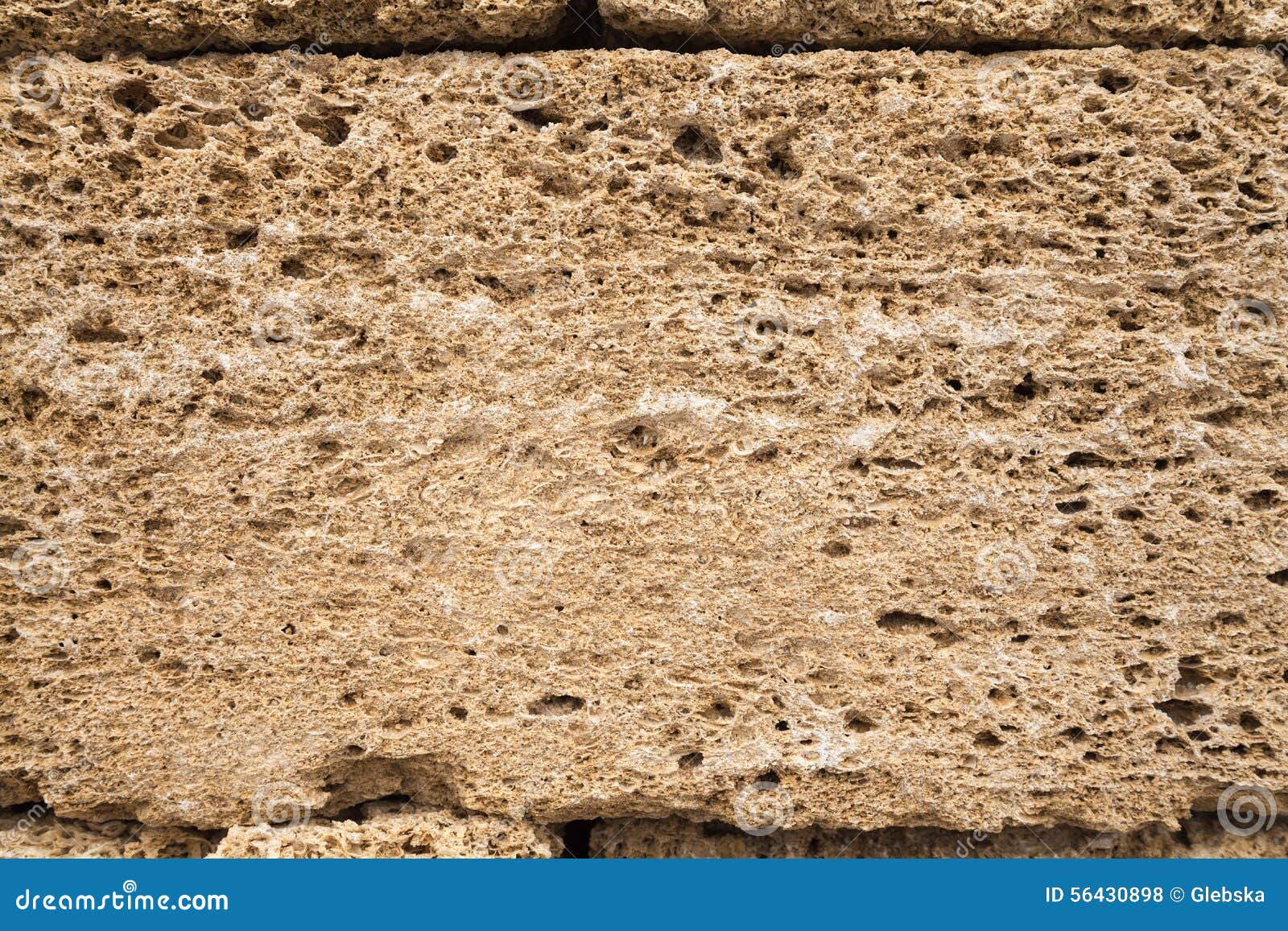 Texture Shell Limestone Closeup Stock Photo - Image of rough, soft ...