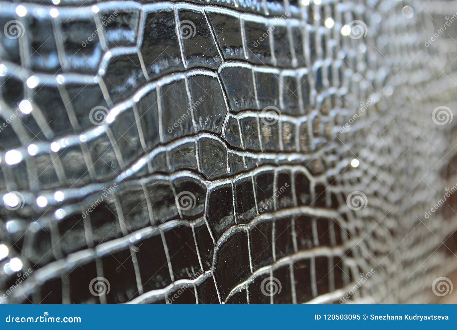 Texture of a Shiny Imitation Leather Under a Black Snake Stock Image ...