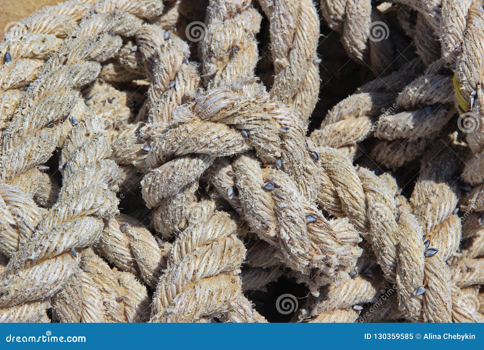 Texture Ship Rope, Covered with Sand Stock Image - Image of yachts ...