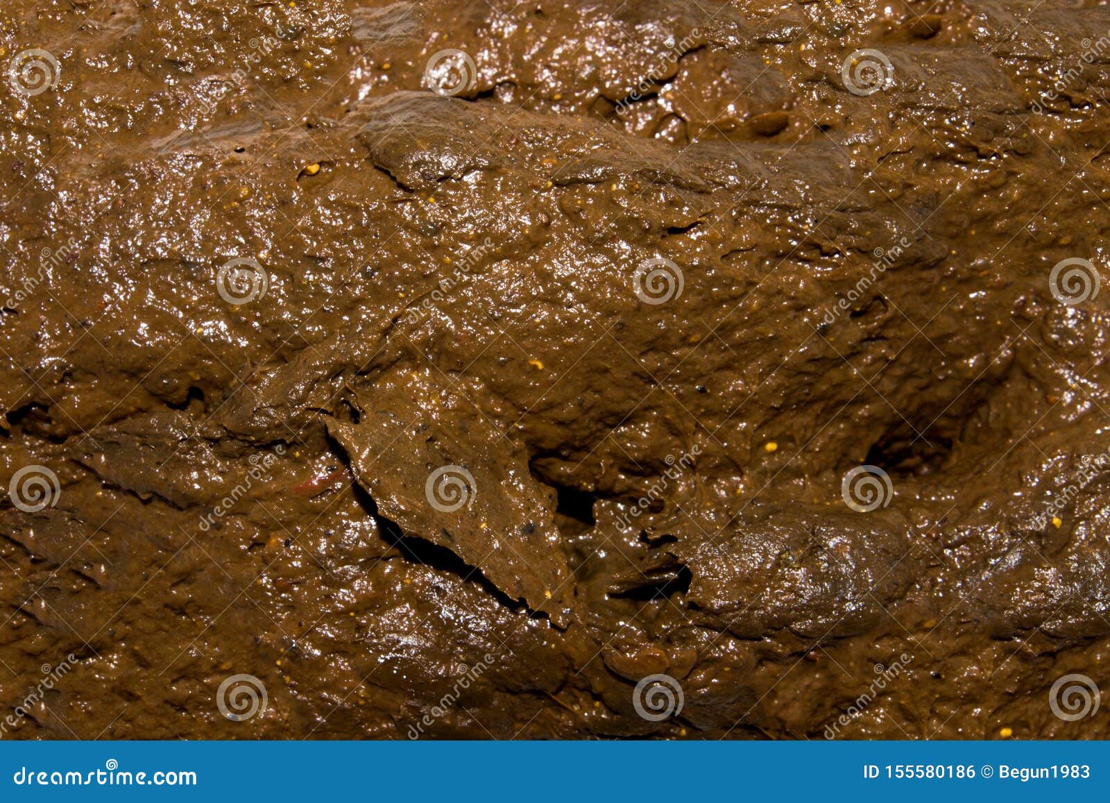 Texture of Shit.Background of Excrement Stock Photo - Image of ...