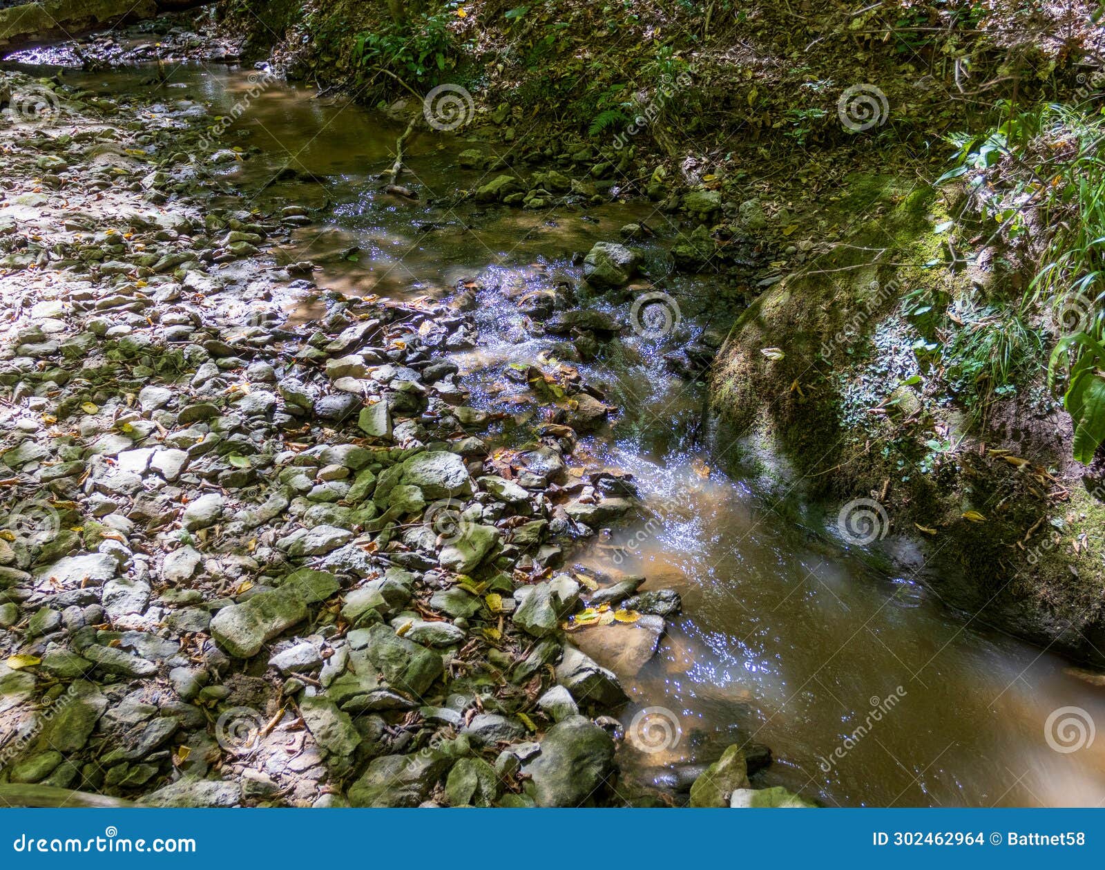 The Texture of the Shore of a Shallow River with a Bare Bottom, Rocks ...