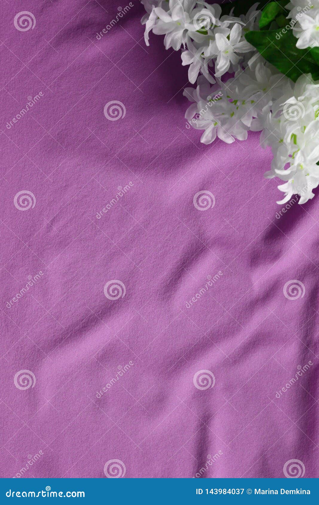 The Texture of Silk Fabric. on the Texture is a White Flower Stock ...
