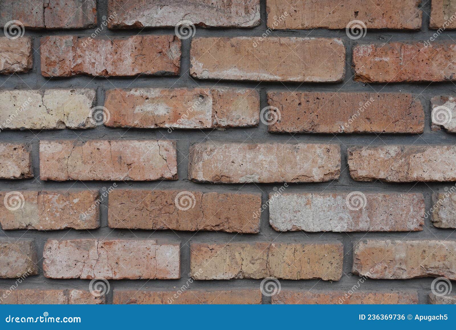 Texture of Old Brick Wall Front View Stock Photo - Image of colors ...