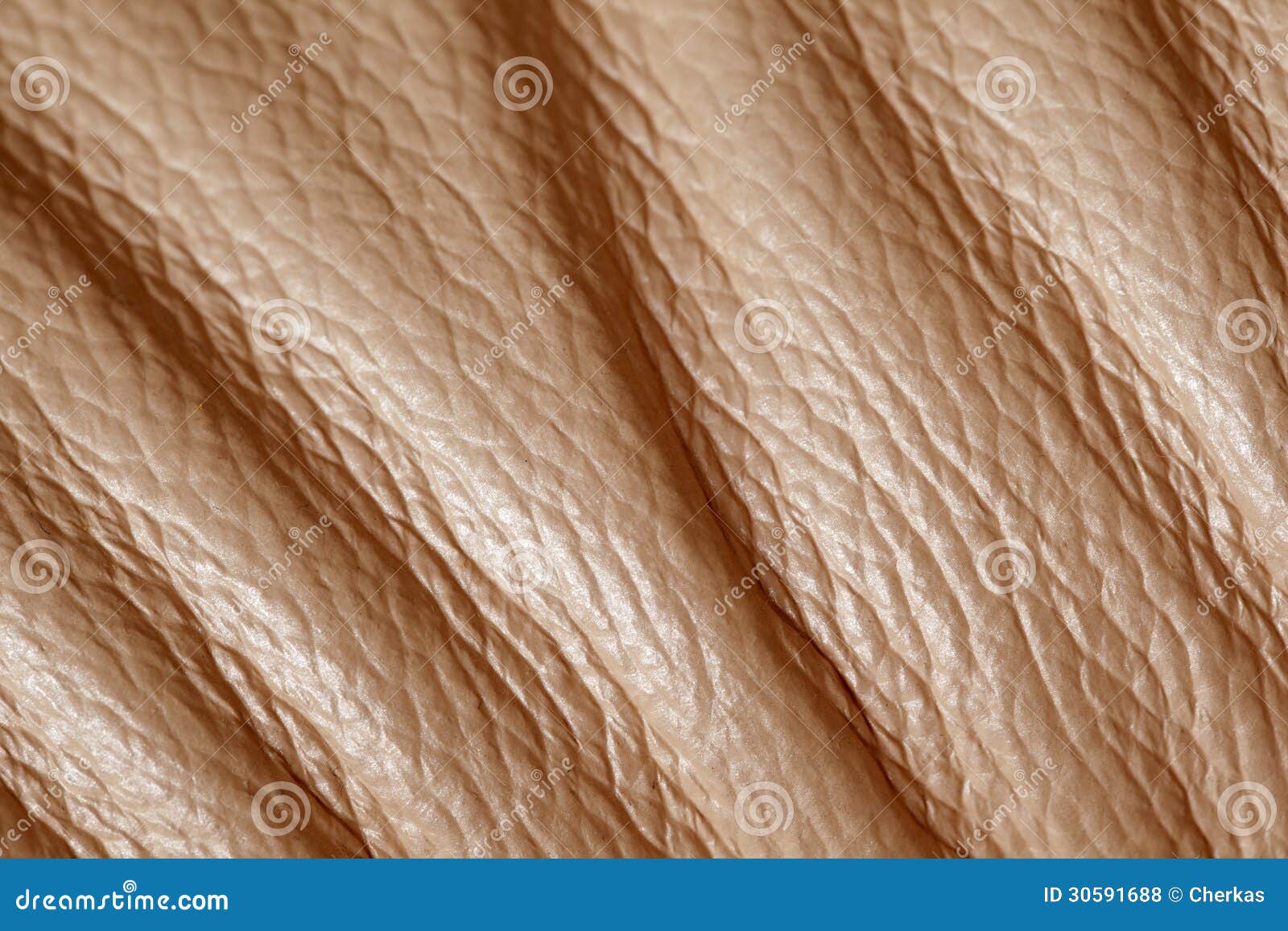 Texture skin stock photo. Image of macro, backdrop, leather - 30591688