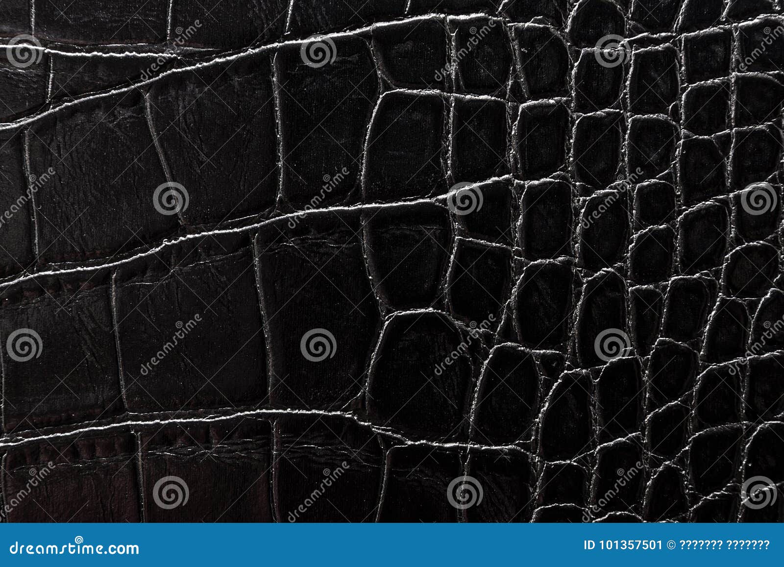 The Texture of the Skin is Gray Stock Image - Image of natural, gray ...