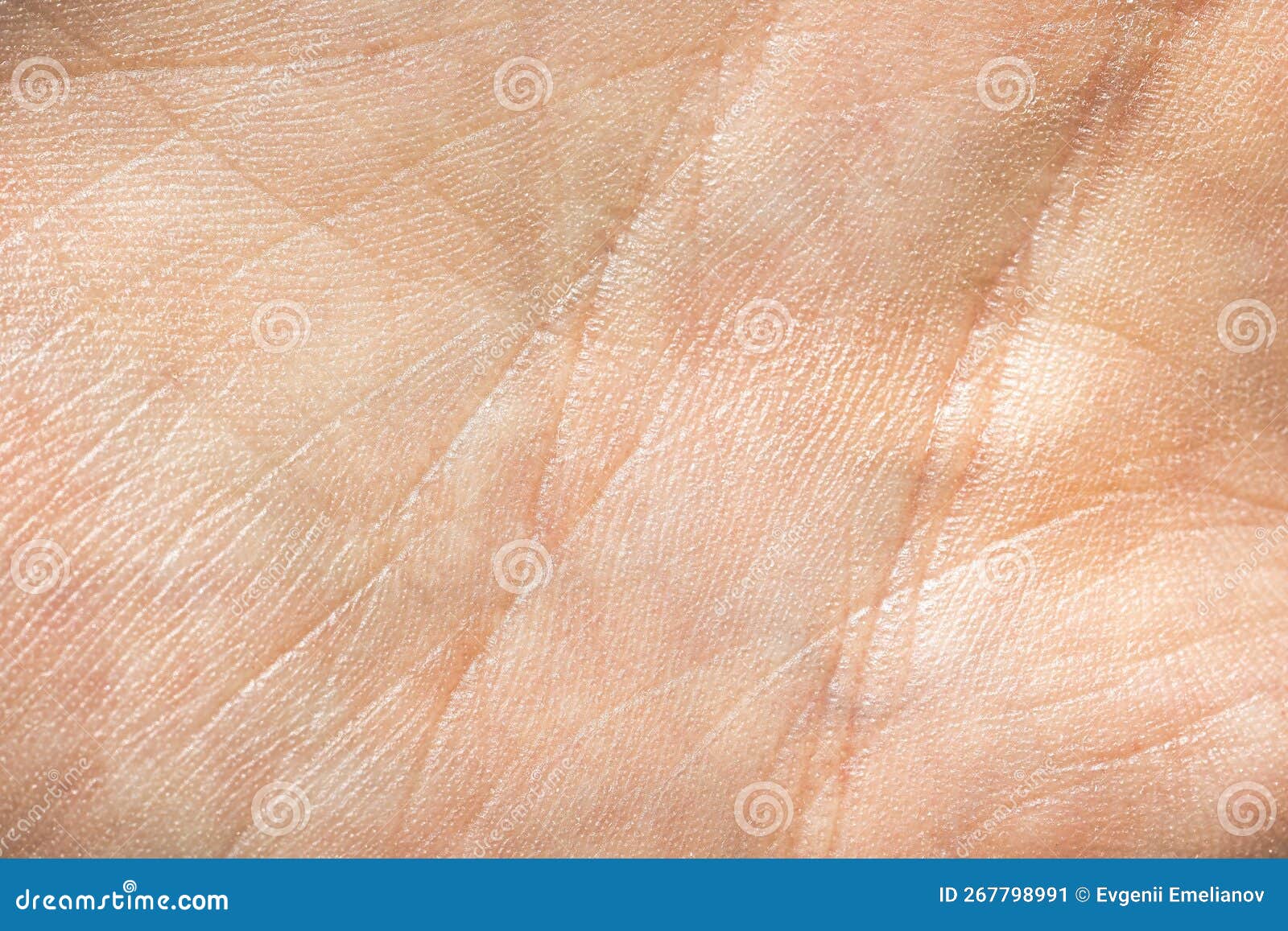 The Texture of the Skin of the Hand. Stock Image - Image of hide, rough ...
