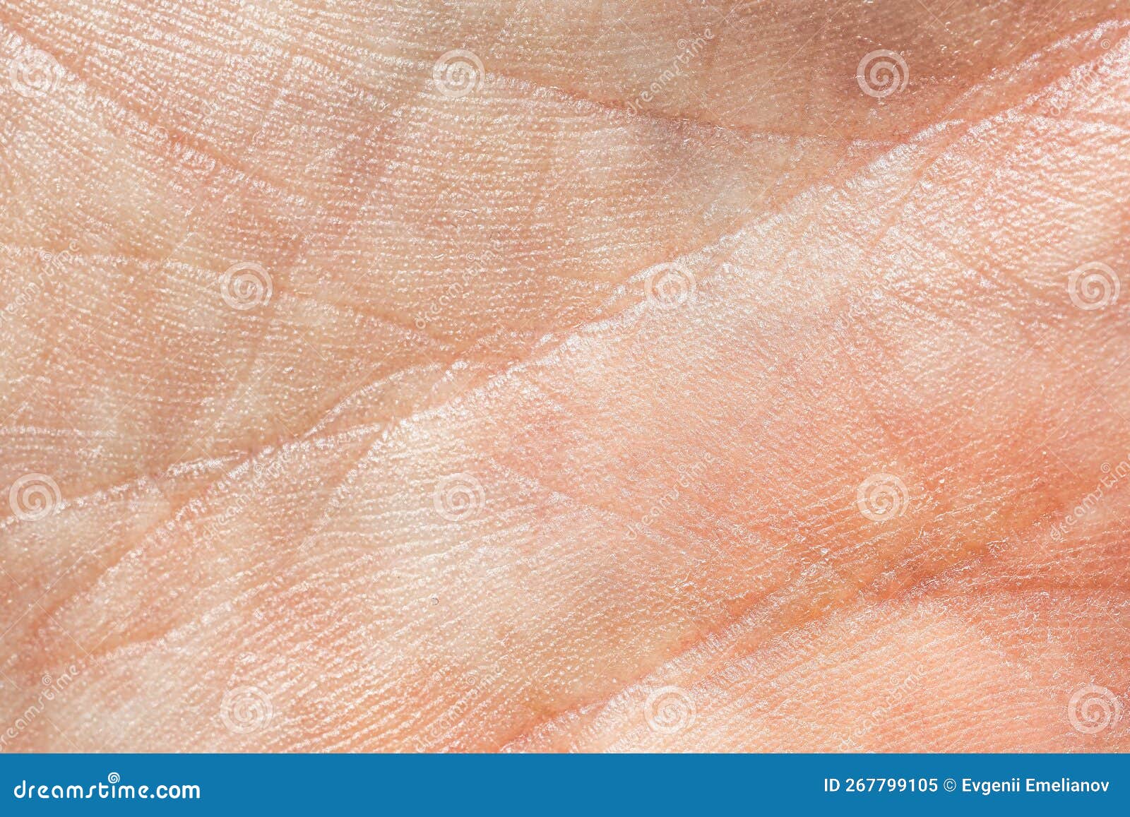 The Texture of the Skin of the Hand. Stock Image - Image of hand, pink ...