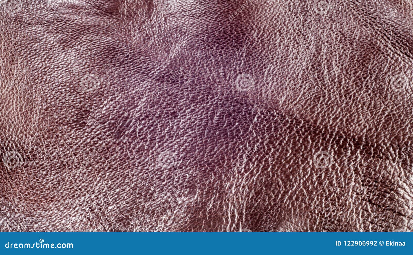 Texture of the skin stock photo. Image of detail, design - 122906992