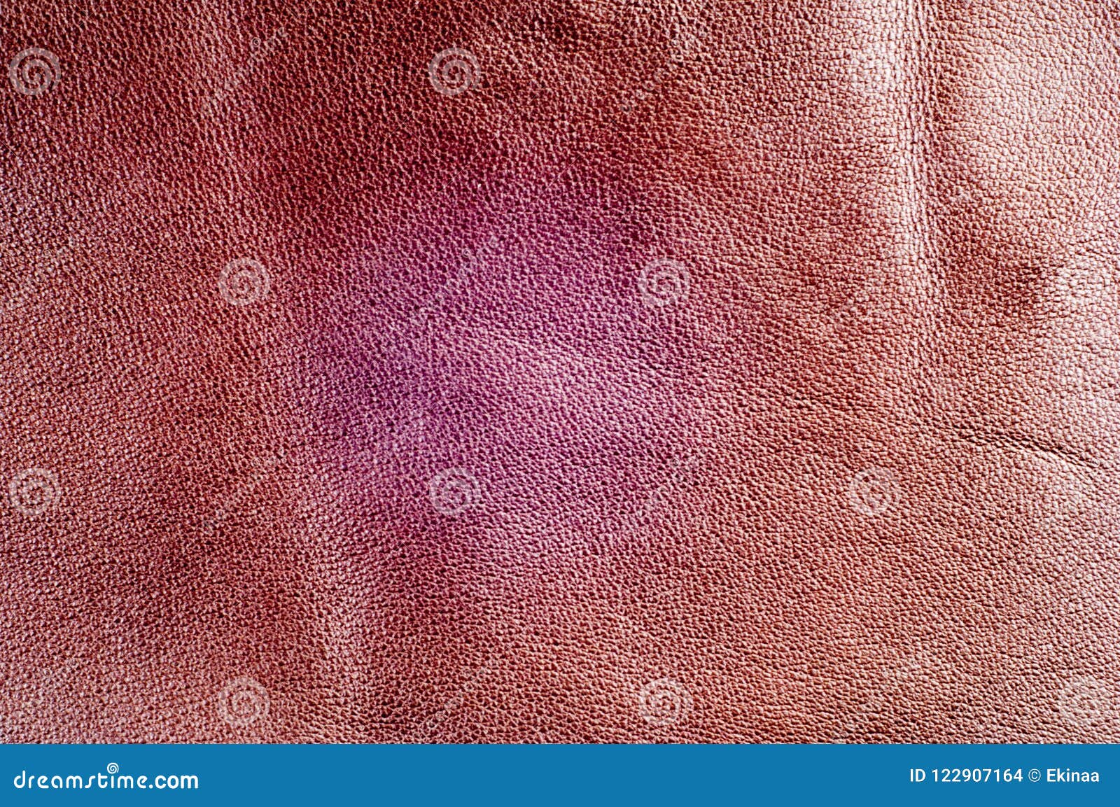Texture of the skin stock photo. Image of detail, blank - 122907164