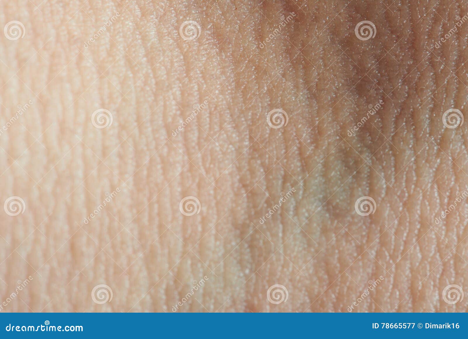 455 Human Texture Vein Photos - Free & Royalty-Free Stock Photos from ...