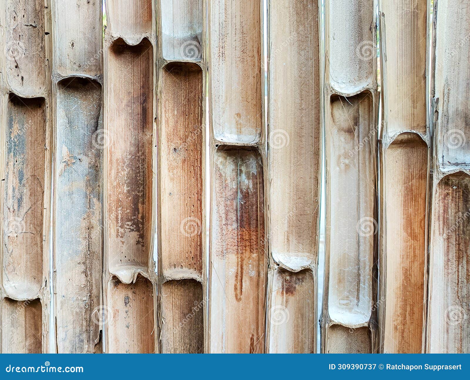 Texture Slice Half Bamboo Wood Wall Pattern Background Stock Image ...