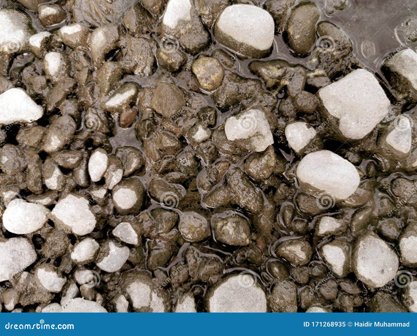 Texture of Small Stones Mixed with Water, Moss and Soil Stock Image ...