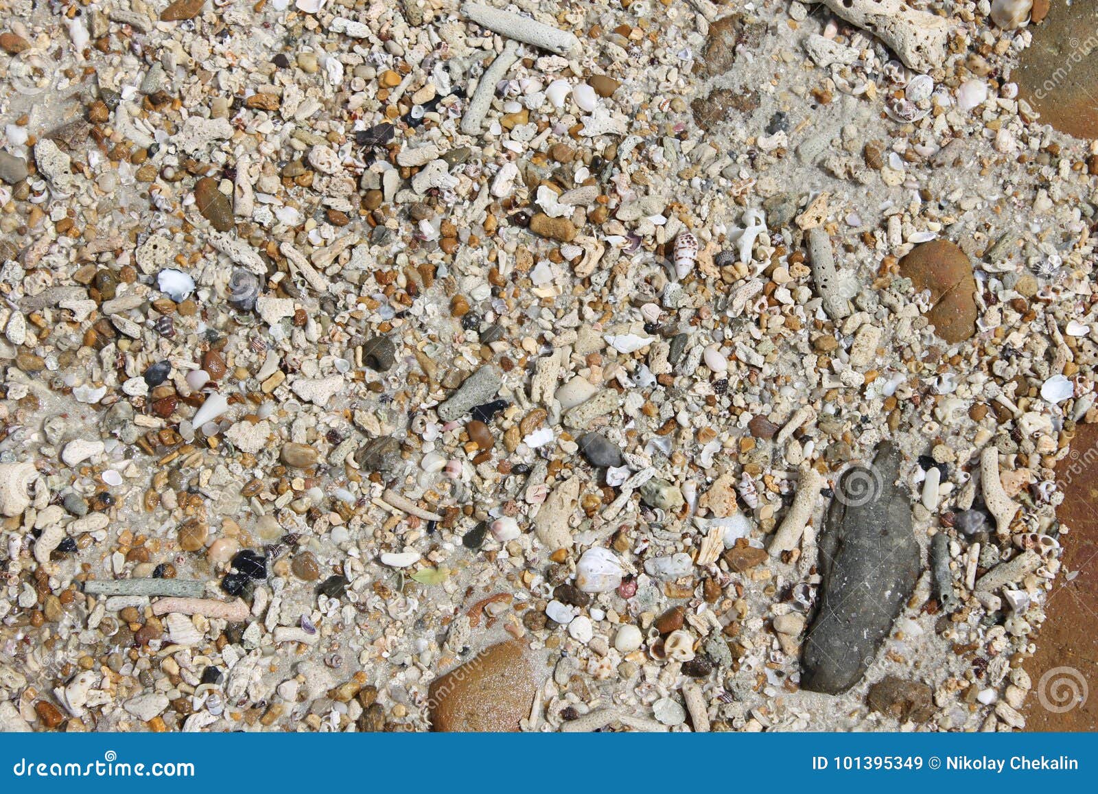 Texture of Small Stones, Shells, Various Colors Stock Image - Image of ...