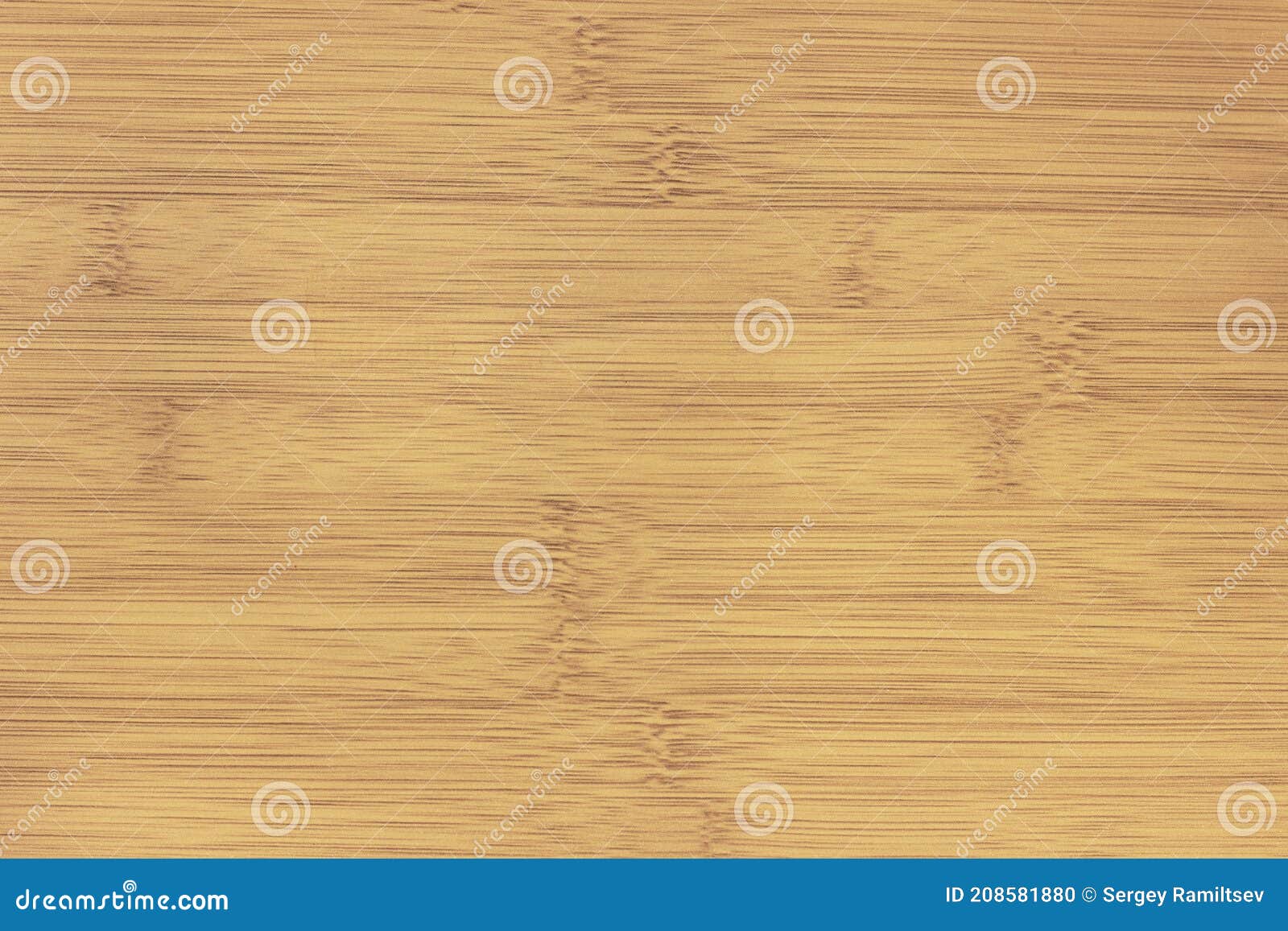 The Texture of the Smooth Lacquered Surface of the Bamboo Stock Photo ...
