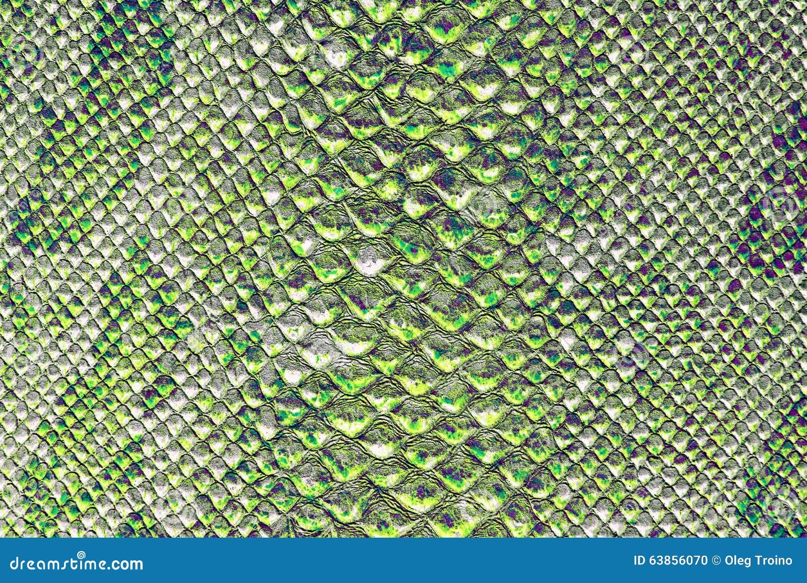 The texture of snake skin stock photo. Image of wallpaper - 63856070