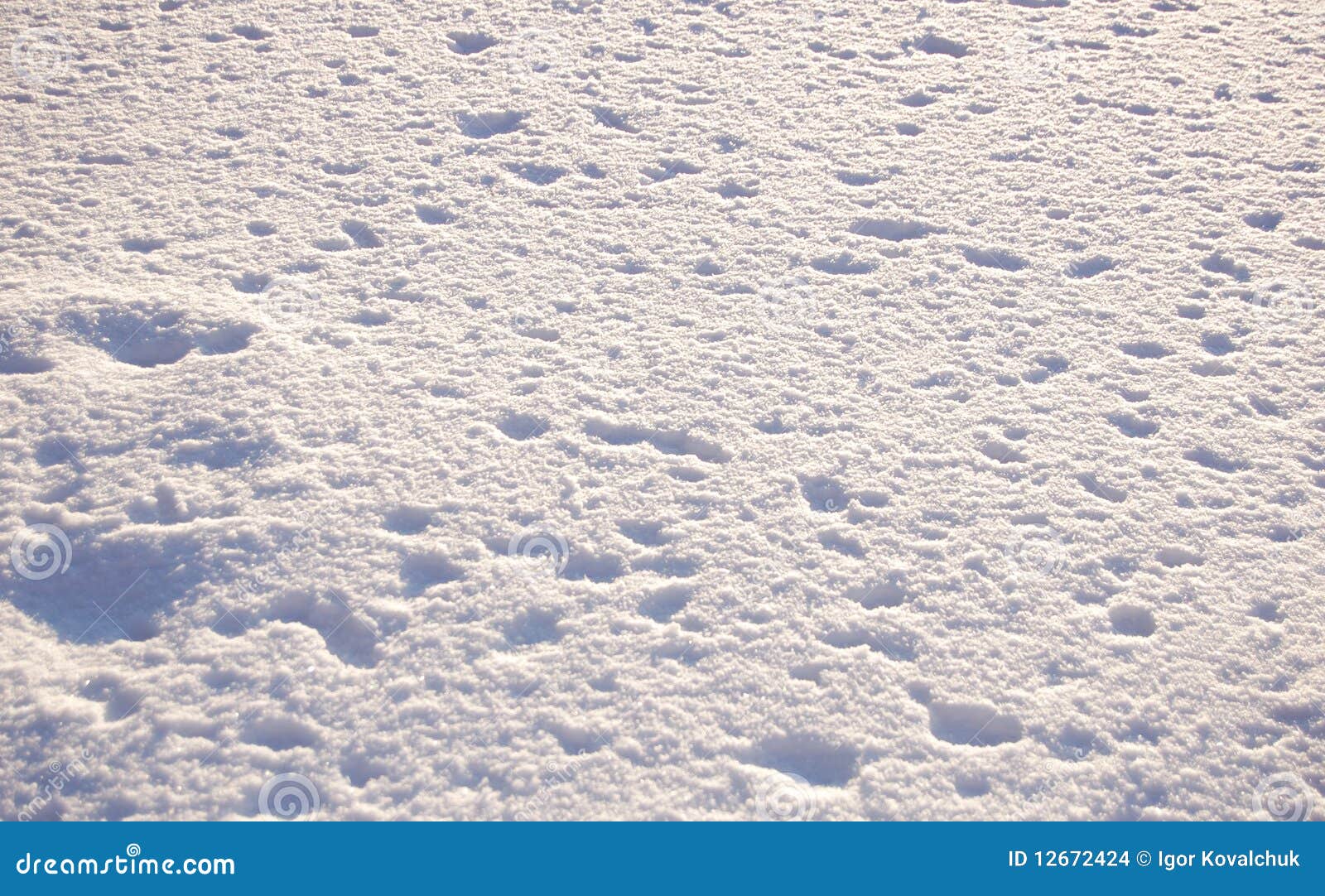 Texture of snow stock photo. Image of cold, december - 12672424