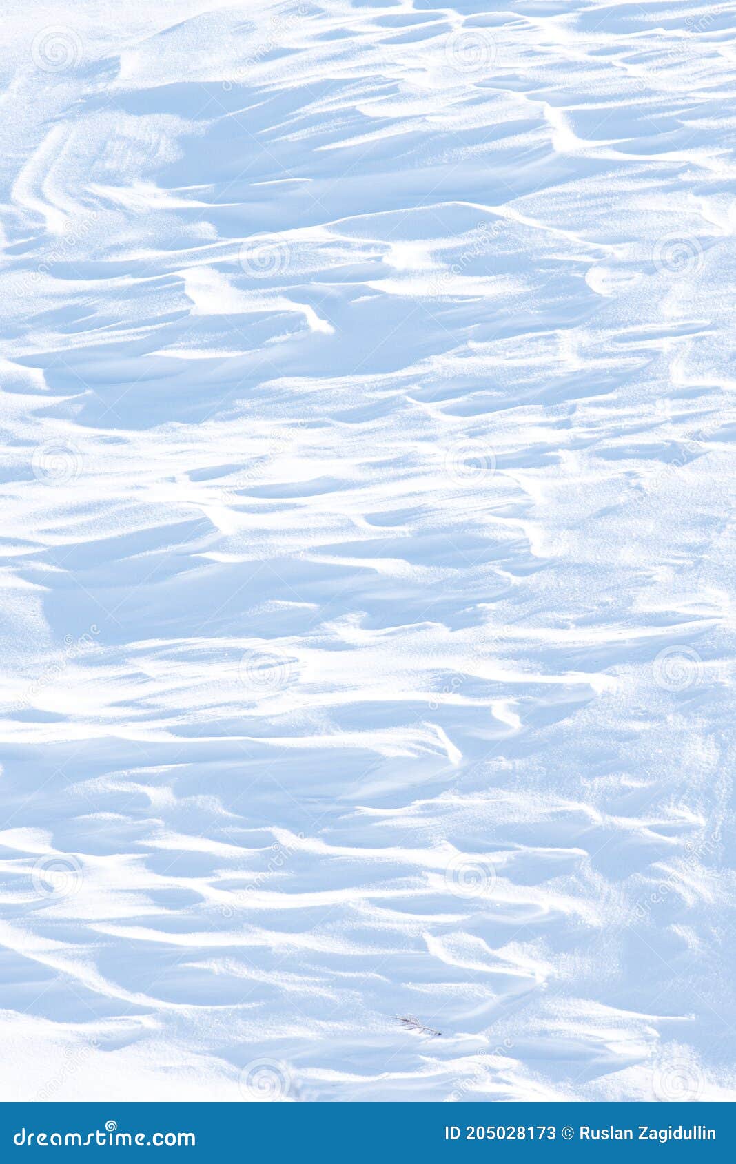 Texture of Snow after a Blizzard. Bad Weather Blizzard. Background ...