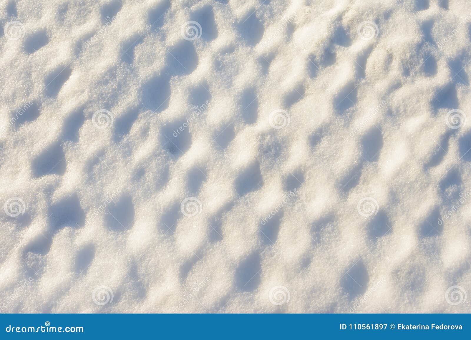 The Texture is Snow in the Cells. Snow-covered Net after a Strong ...