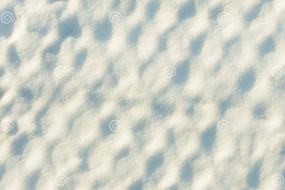 The Texture of the Snow in the Cells. Background, a Grid Covered with a ...