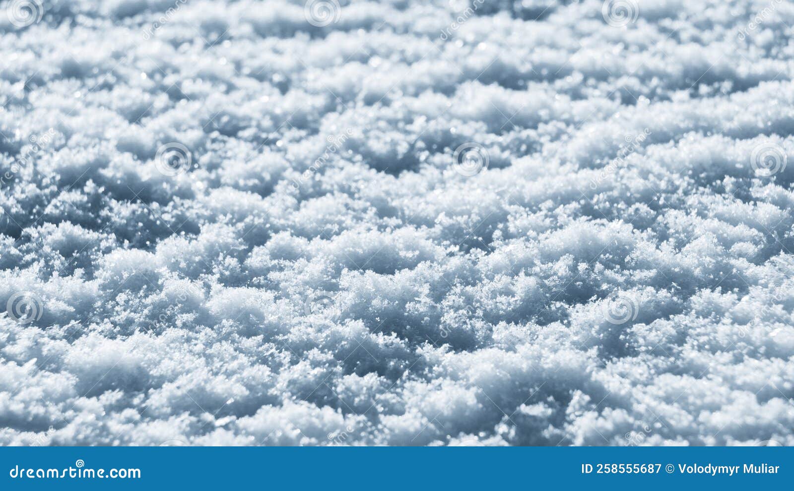Texture of Snow in Sunny Weather. Snow Cover with Snow Crystals Stock ...