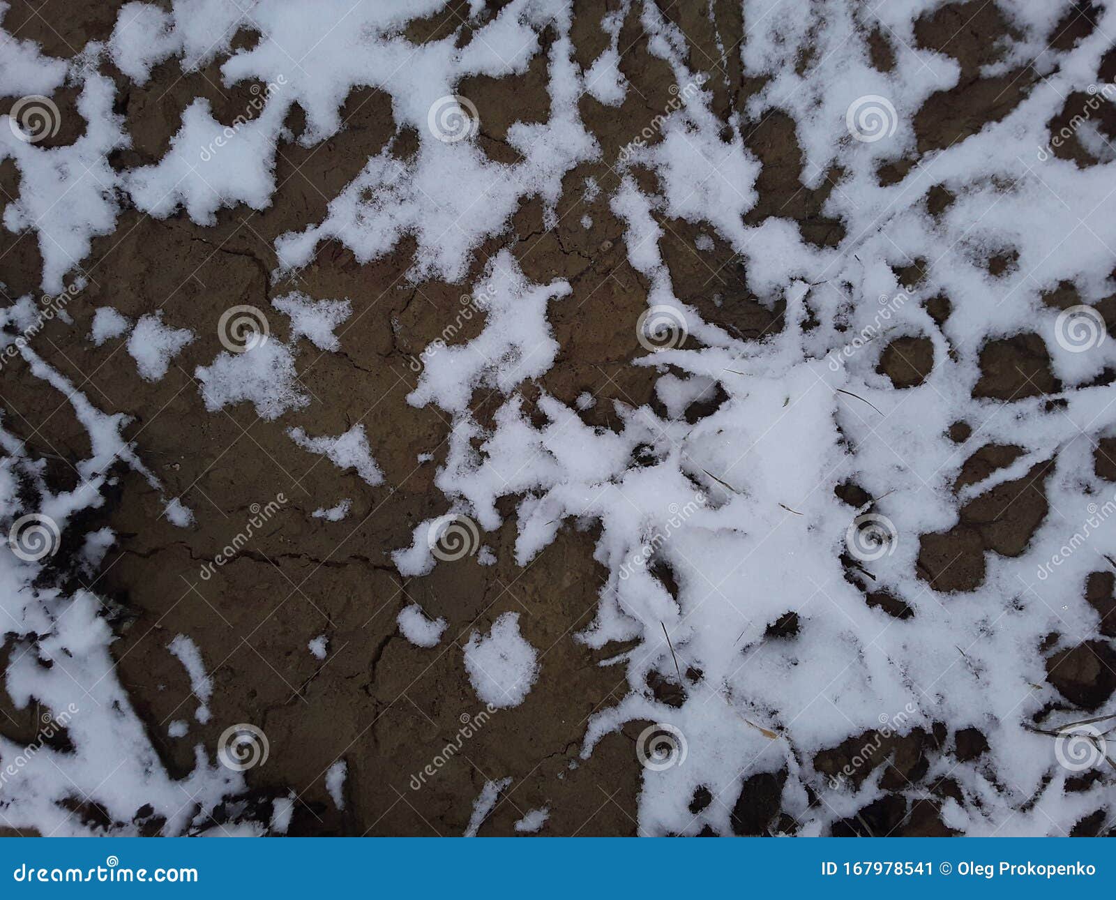 Texture of Snowy Grass and Ground Frost the First Snow Stock Image ...