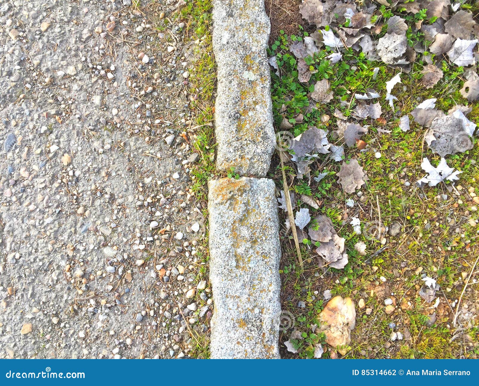 Texture of soil with curb stock photo. Image of brown - 85314662