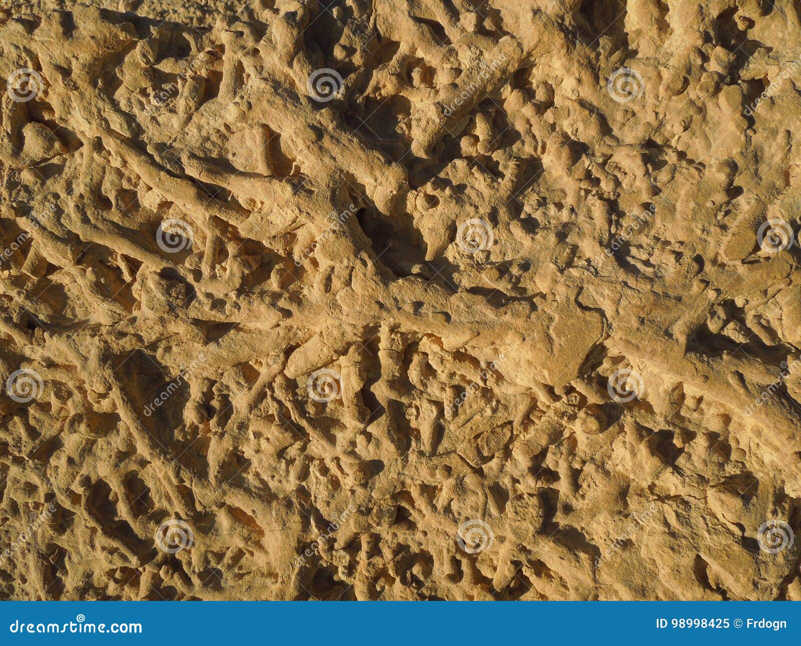 Texture of soil in Jordan stock image. Image of sand - 98998425