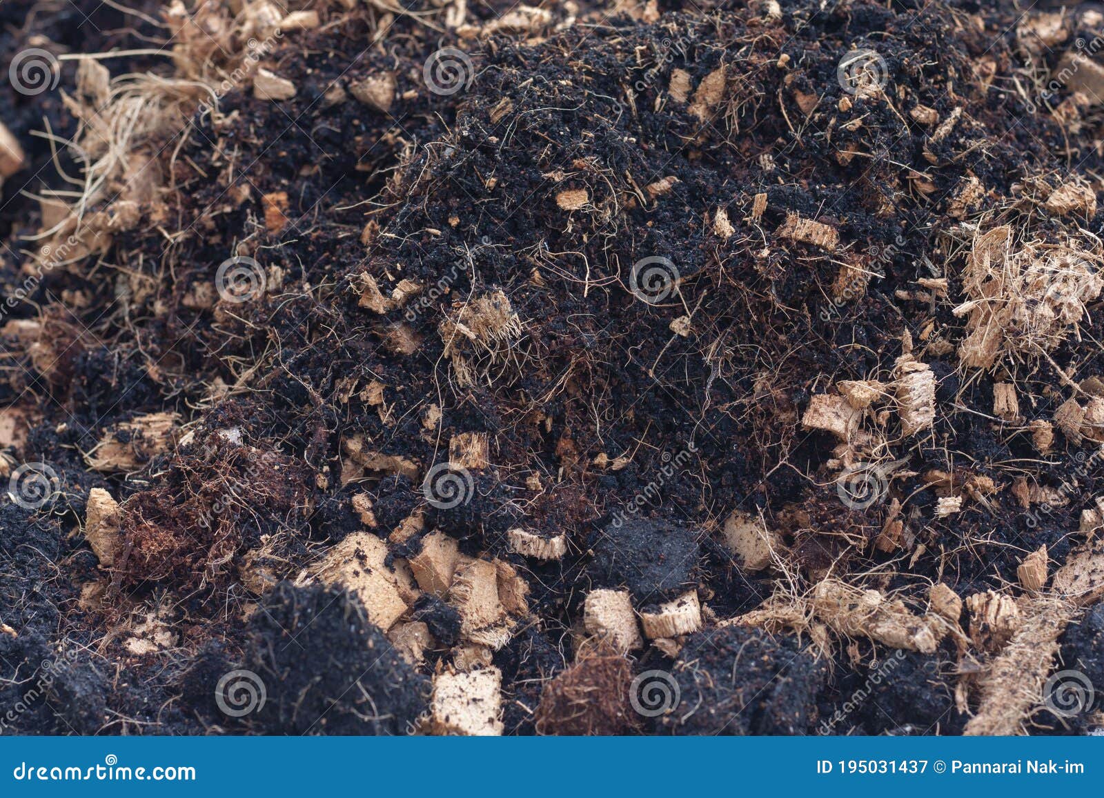 Texture of Soil Mixing Coconut Dust. Stock Image - Image of dark ...