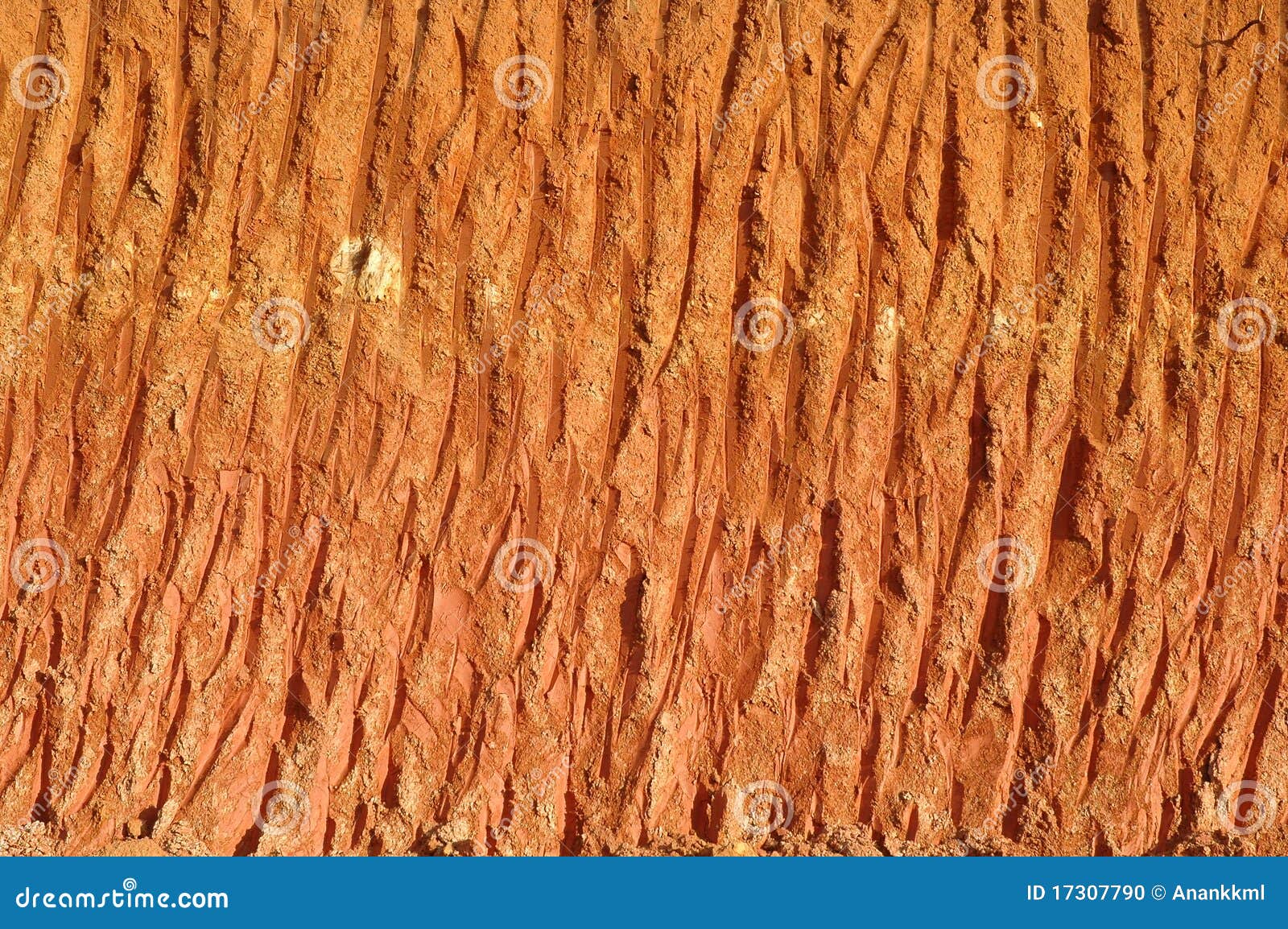 Texture of soil section stock photo. Image of vertical - 17307790
