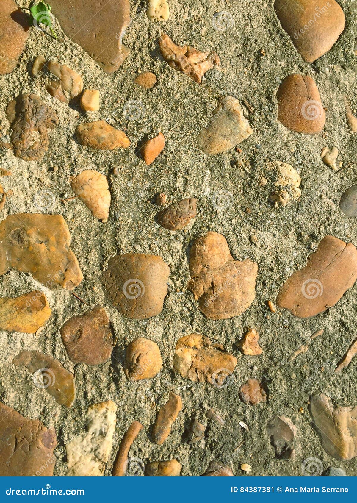 Texture of Soil with Stones Stock Image - Image of graphic, cracked ...