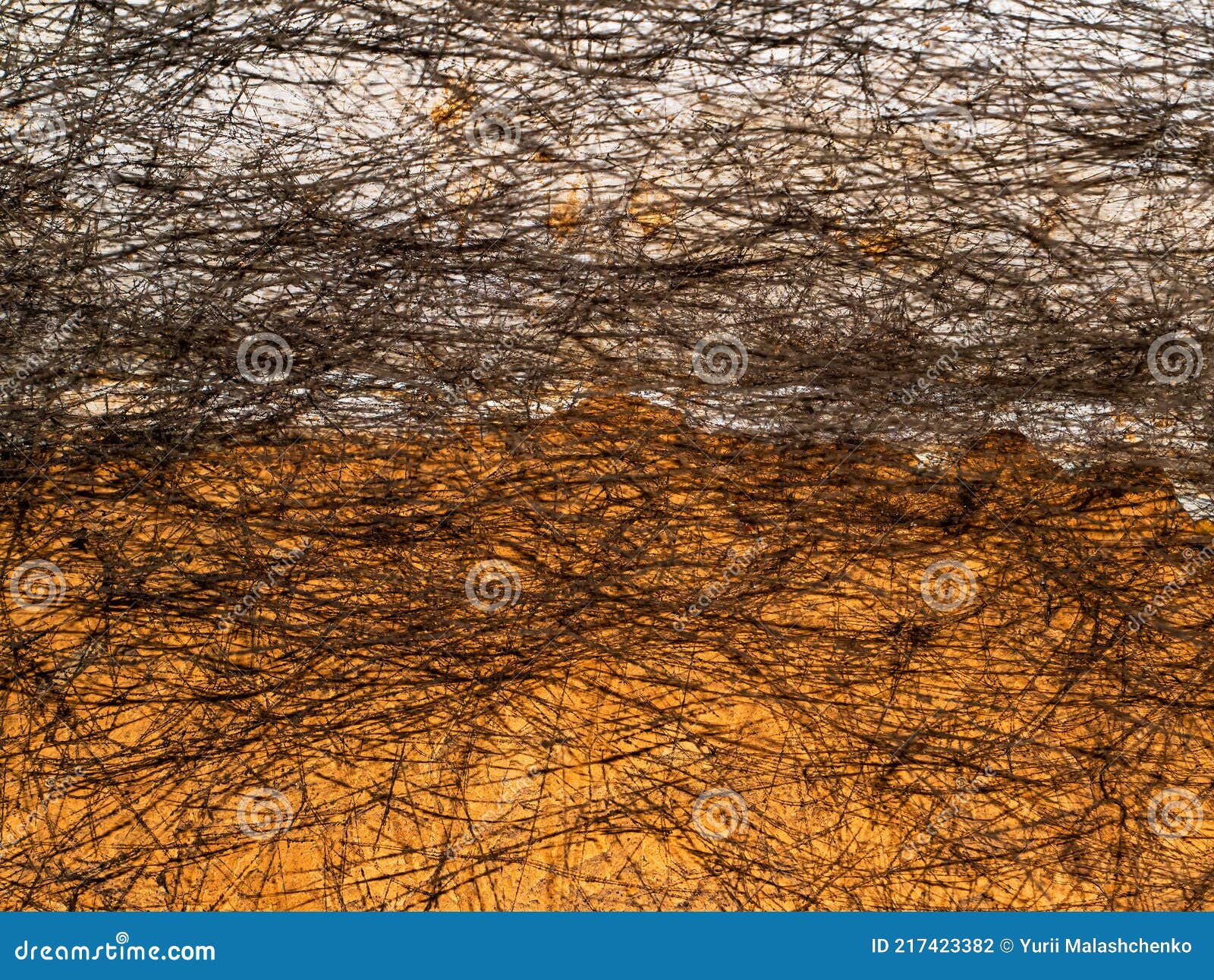 The Texture of the Spider Web is Black from Smoke Soot. Stock Photo ...