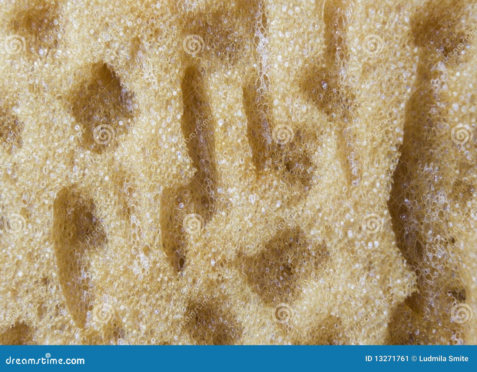Texture of the sponge. stock image. Image of natural - 13271761
