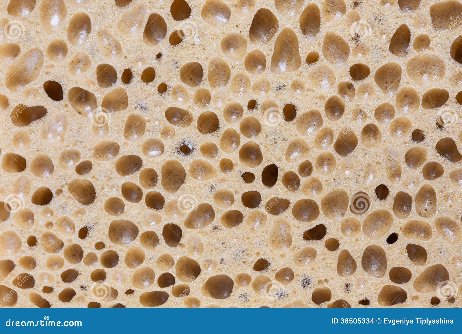 Texture sponge stock photo. Image of backdrop, spong - 38505334