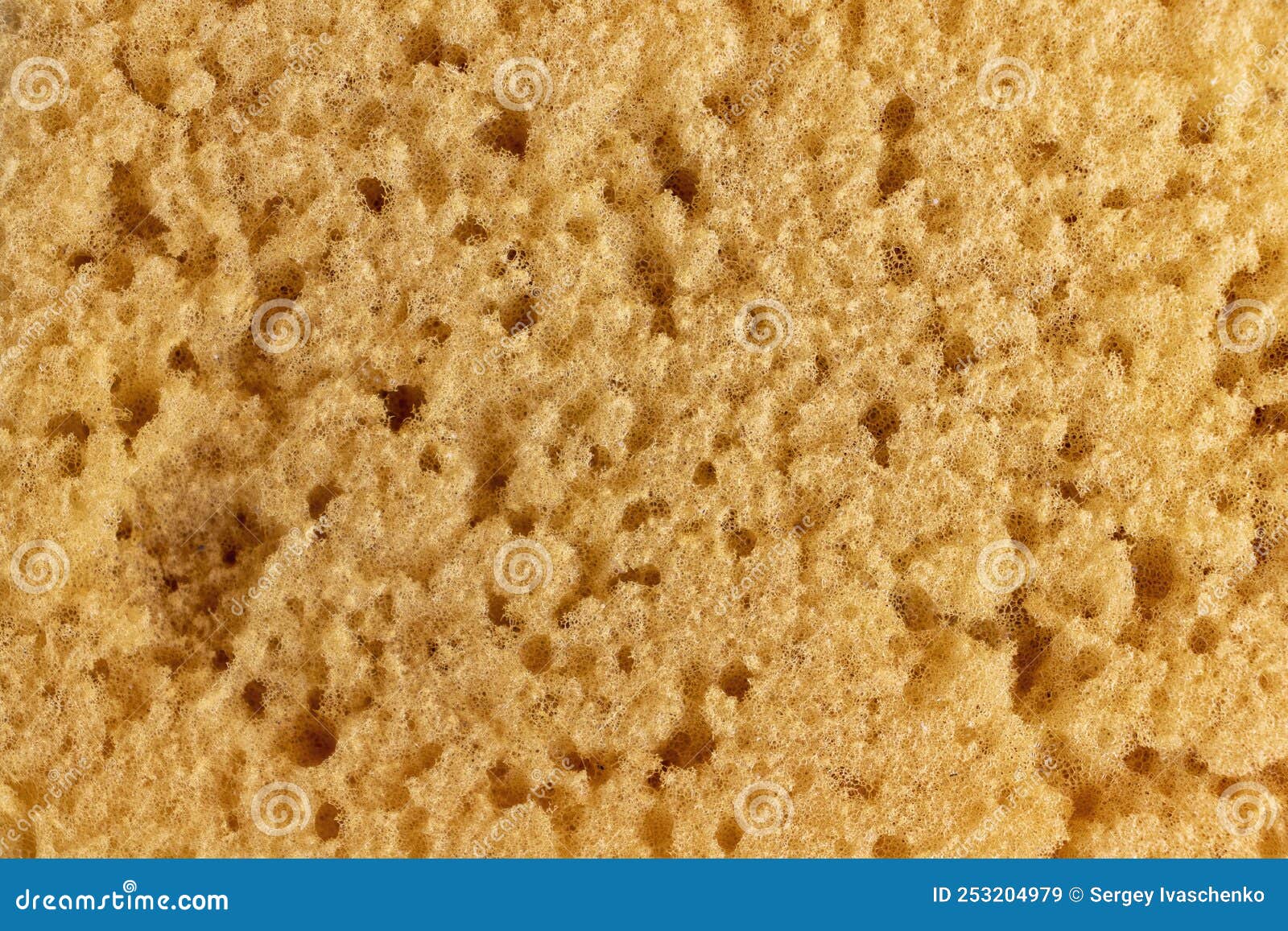 Texture of a Sponge for Background. Stock Image - Image of meal, grain ...