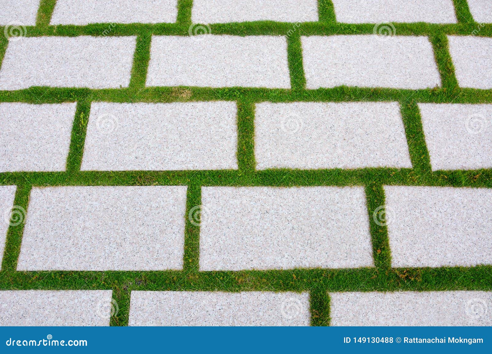 Texture of Square Concrete Brick Pathway on a Green Grass Stock Photo ...
