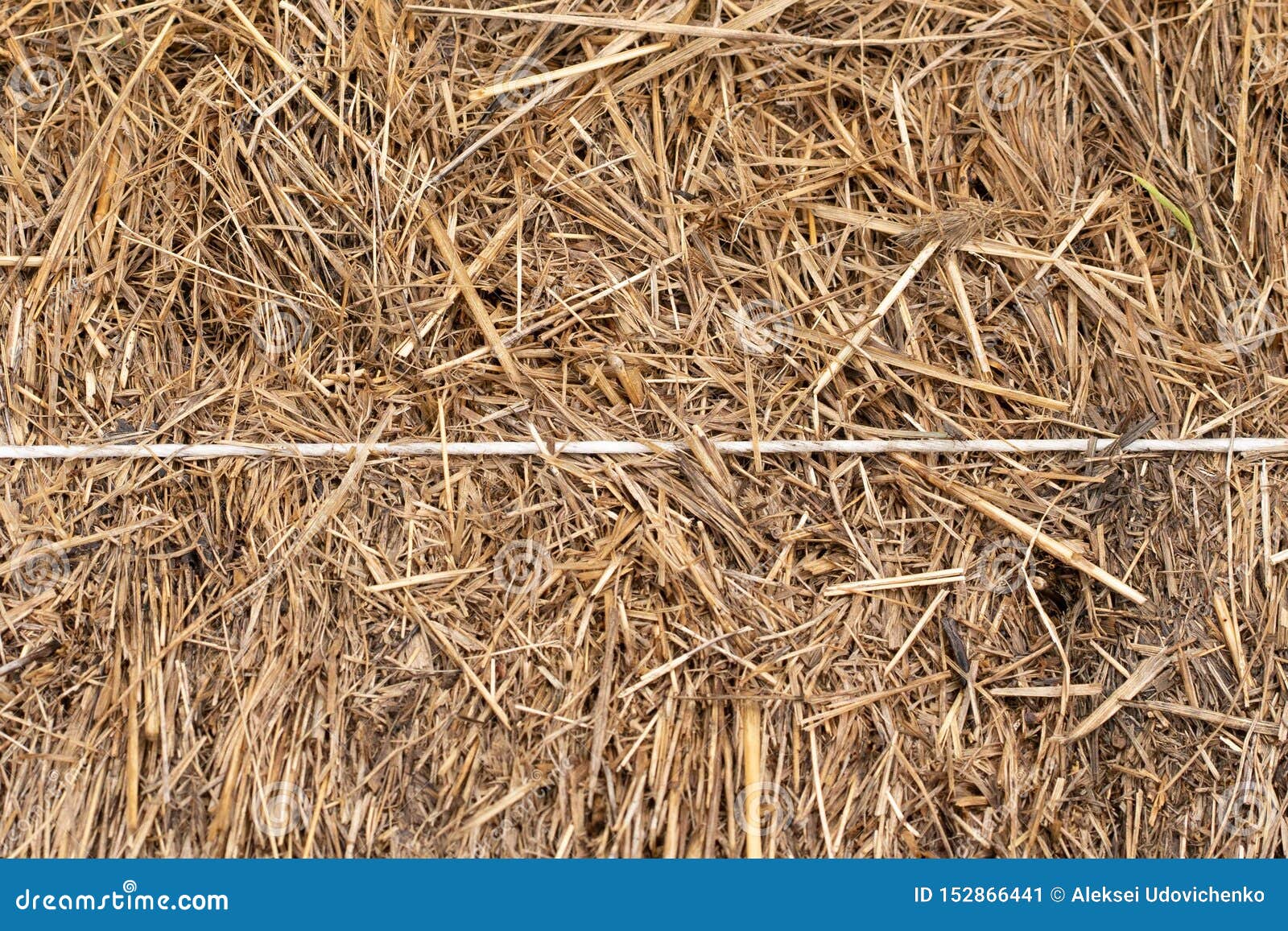 Texture of the Stack of Hay in Close Up Stock Image - Image of natural ...