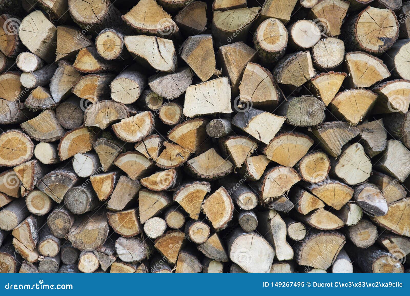 Texture of Stacked Cut Logs of Wood Stock Image - Image of nature ...