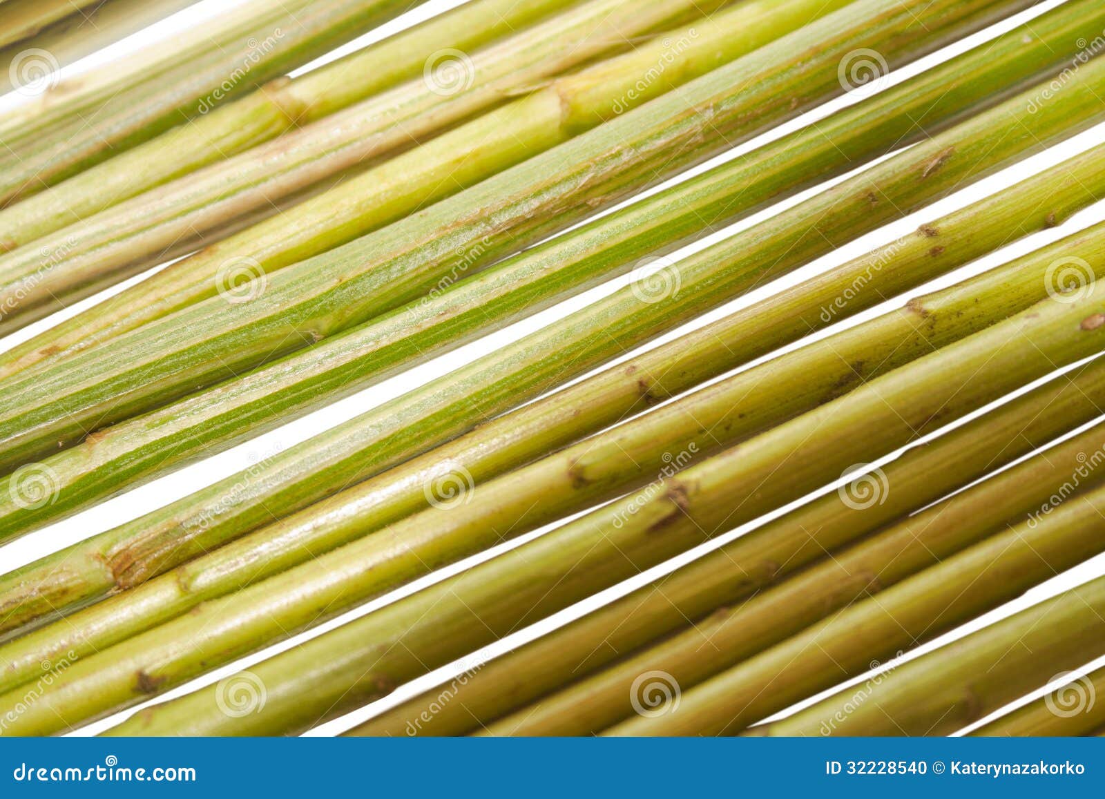 Texture of the Stems of Plants Stock Photo - Image of fresh, texture ...