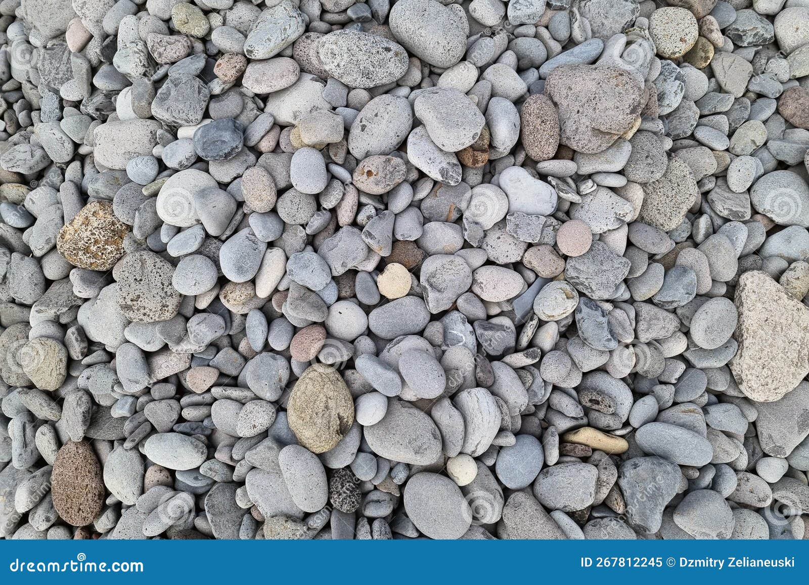 The Texture of the Stone on the Beach. Pebbles, Background Stone. Stock ...