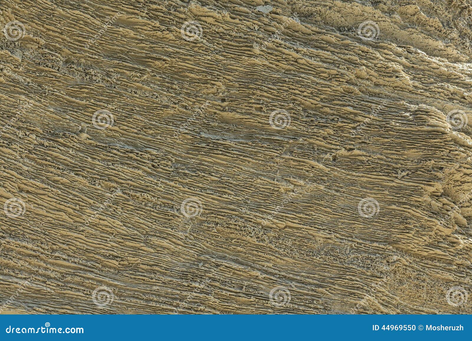 Texture of stone-Coast stock photo. Image of structure - 44969550