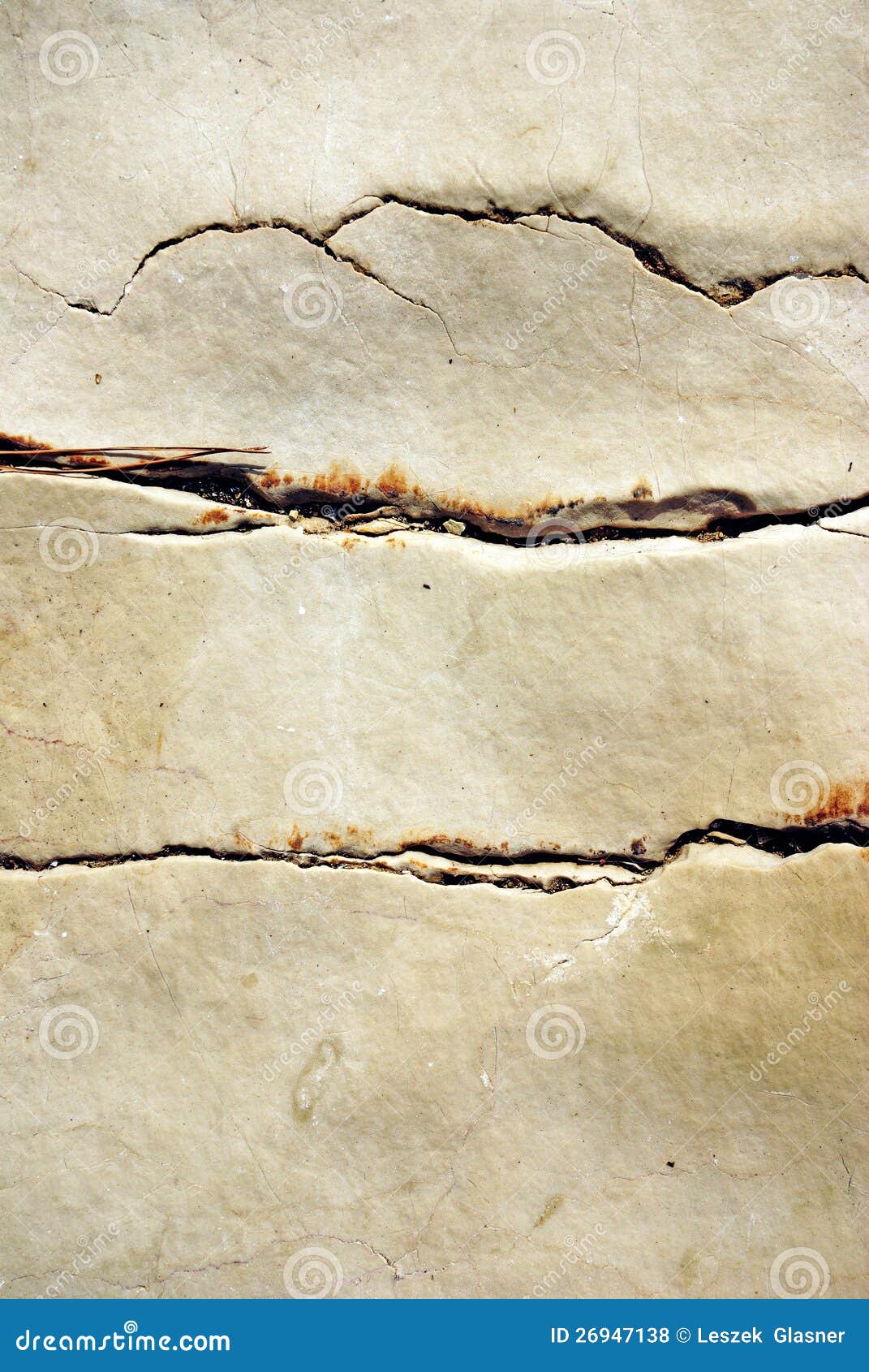 Texture of Stone with Cracks Looks Like a Bone Stock Photo - Image of ...