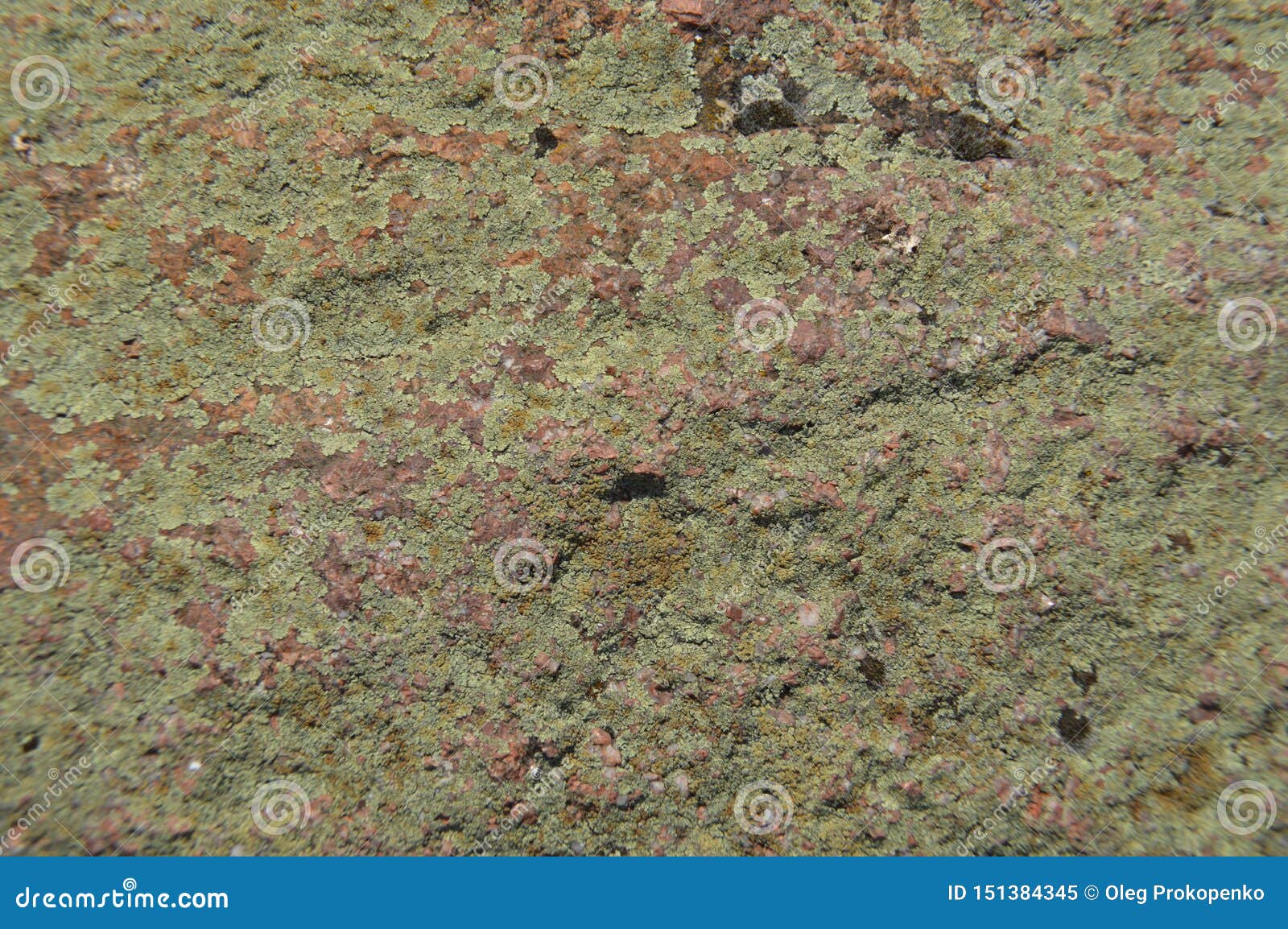 The Texture of the Stone of Different Textures and Sizes Stock Image ...