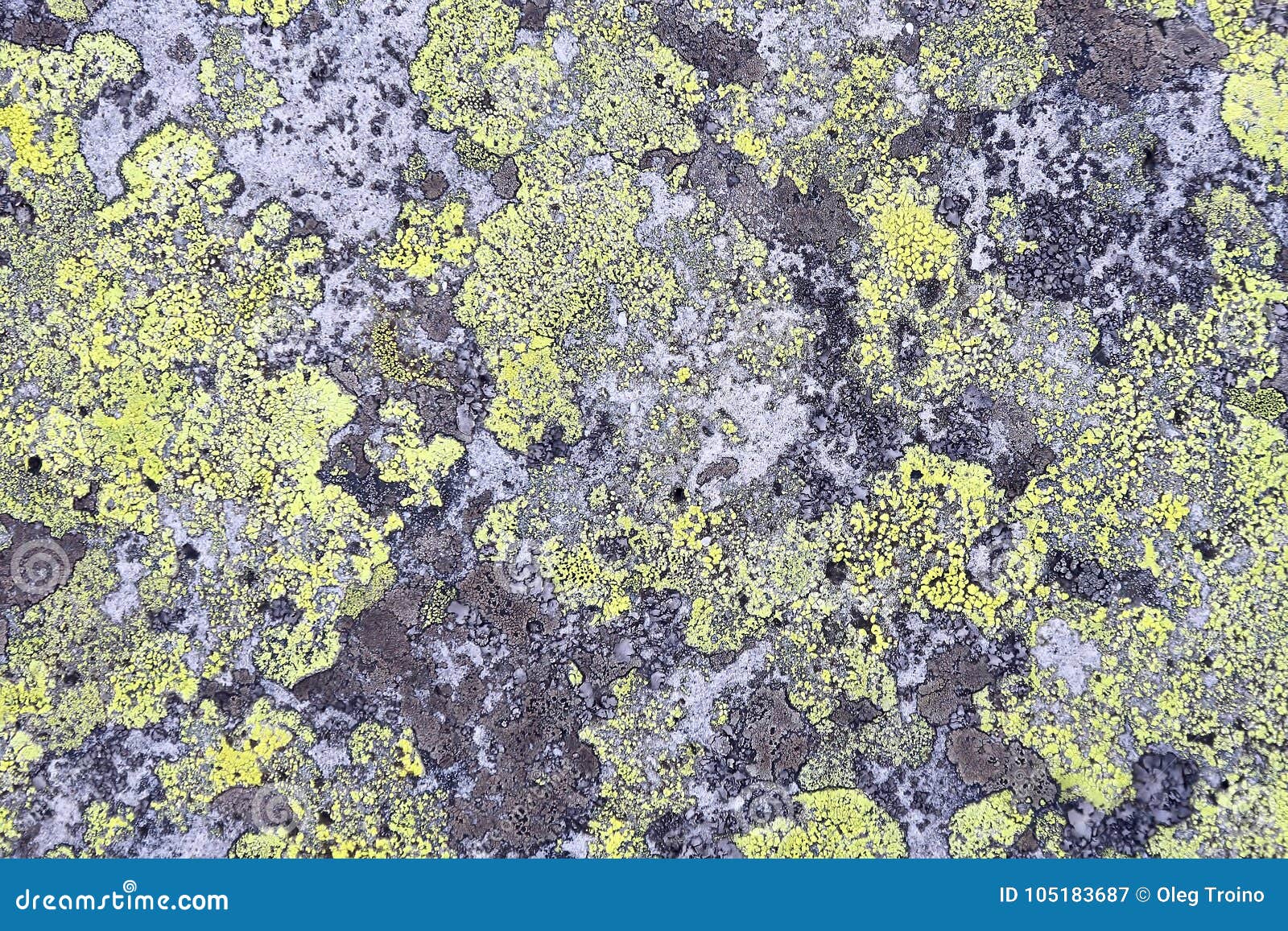 Texture of the Stone with Lichen Stock Image - Image of mottled ...